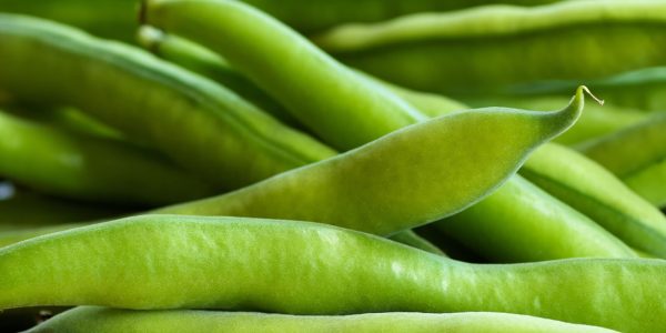 Runner Bean Soup - Pritikin Longevity Center