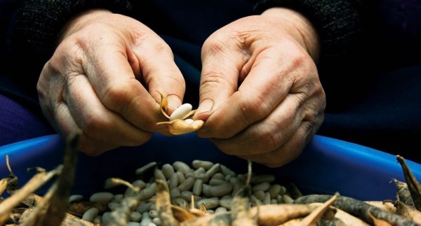 The Luxury Longevity Blueprint: Daily Rituals of People Who Age ...