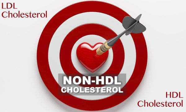 Non-HDL cholesterol goal | What's optimal? | Pritikin Health Experts