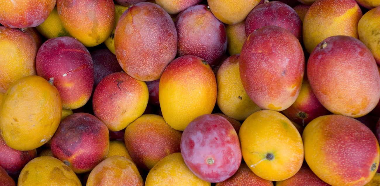 Best Ever Mango Recipes from Tropical Miami | Pritikin Health Resort