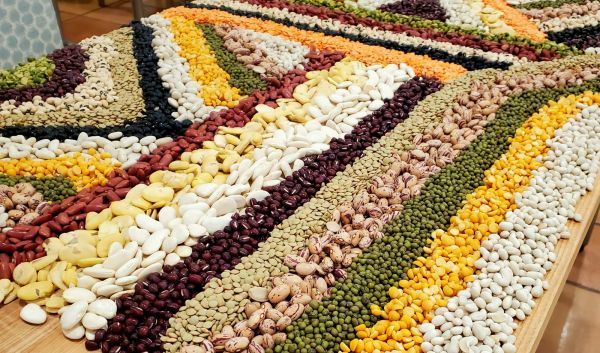 Beans Vs Meat | Calories, Protein, Fiber, and Weight Loss - Pritikin ...